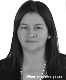 Investigadores precedentes